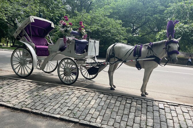 Central Park Horse Carriage Rides Since 2005 - A Closer Look at the Experience