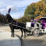 Central Park Horse Carriage Rides Since 2005 - Why This Tour Might Be Perfect for You