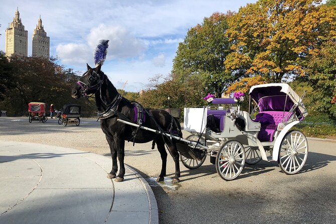 Central Park Horse Carriage Rides Since 2005 - Why This Tour Might Be Perfect for You