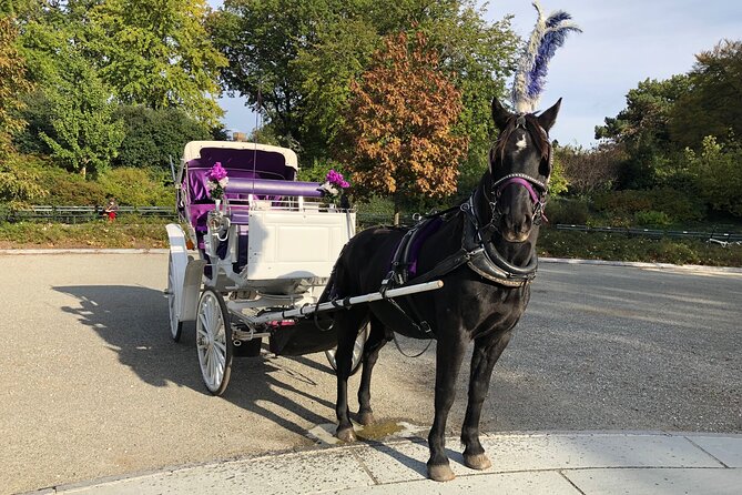 Central Park Horse Carriage Rides Since 2005 - FAQ
