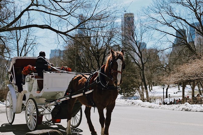 Central Park New York - Exclusive Guided Walking Tour - What Makes the Guides Stand Out?