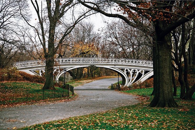Central Park New York - Exclusive Guided Walking Tour - Final Thoughts: Who Will Love This Tour?