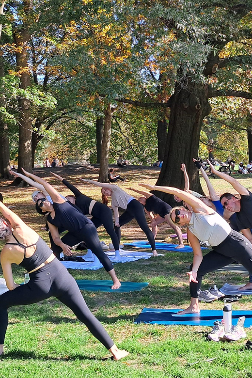 Central Park, New York: Yoga Classes in the park since 2012 - The Experience: Yoga in the Heart of Central Park