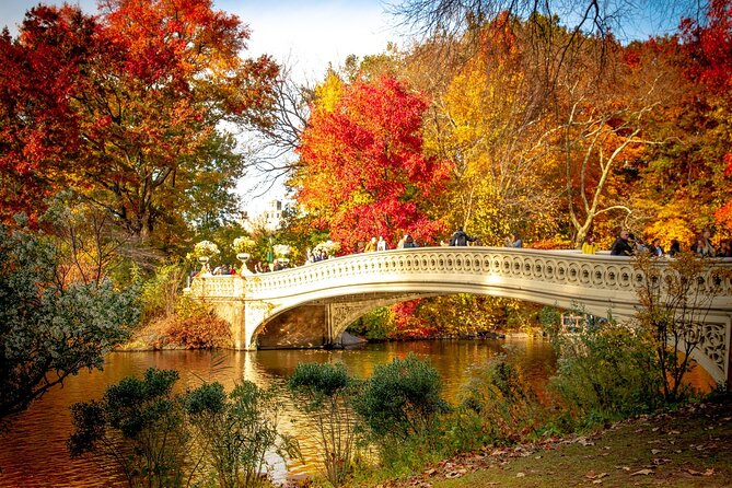 Central Park Outdoor Escape Adventure - Key Points