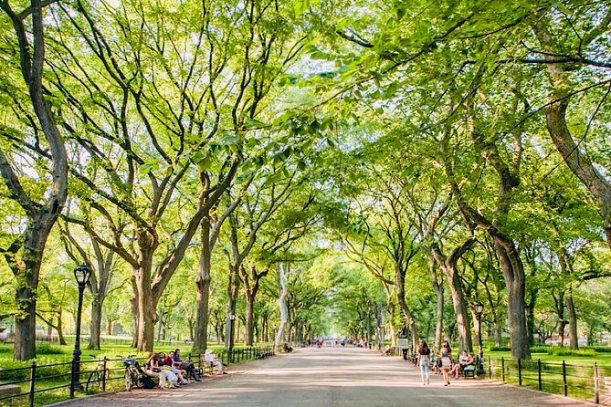 Central Park Pedicab Guided Tours - 1, 1.5 & 2Hrs - The Sum Up