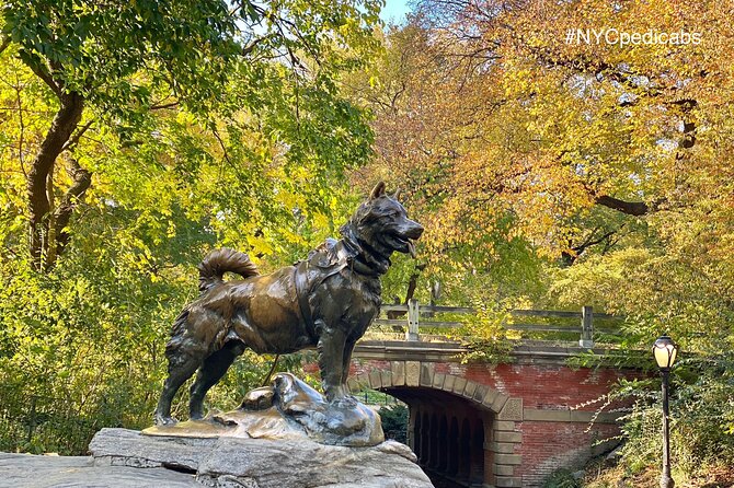 Central Park Pedicab Rickshaw Tours - Why Choose This Tour?