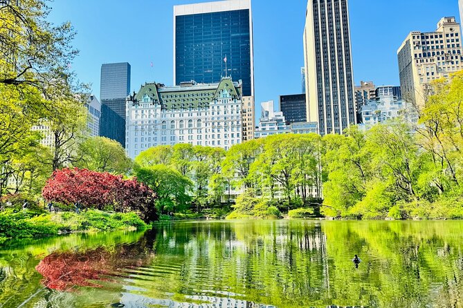Central Park Pedicab Rides - Why Choose a Central Park Pedicab Ride?