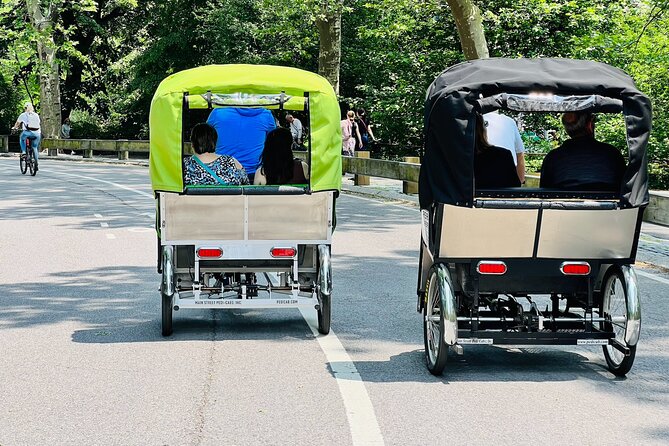 Central Park Pedicab Tour ( starting - Natural History Museum ) - The Value of the Experience