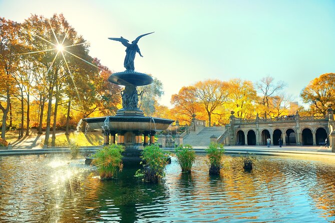 Central Park Pedicab Tours - The Experience: Comfort, Knowledge, and Flexibility