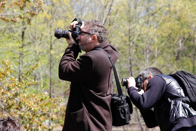 Central Park Photography Tour with Local Photographer - Authentic Experiences from Past Participants