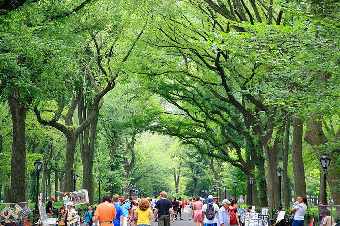 Central Park Photography Tour with Local Photographer - Final Thoughts: Is This Tour for You?