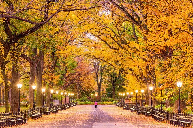Central Park Private Bike Tour - Key Points