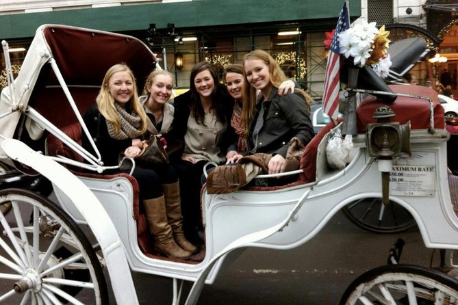Central Park Private Horse and Carriage Tour - What to Expect and How It Works