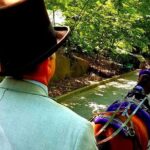 Central Park Private Horse and Carriage Tour - The Route and Key Landmarks