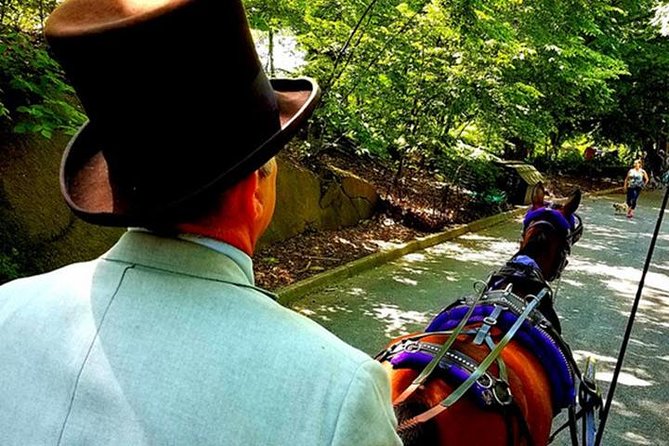 Central Park Private Horse and Carriage Tour - The Route and Key Landmarks