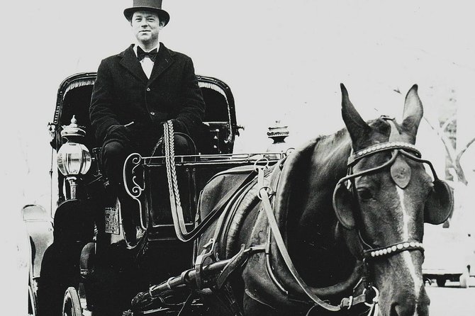 Central Park Private Horse and Carriage Tour - The Good and the Not-So-Good