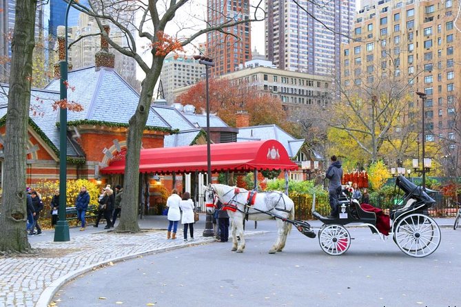 Central Park Private Horse Carriage Tour in NYC - The Experience Breakdown: What You Can Expect