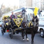 Central Park Private Horse Carriage Tour in NYC - Practical Details and Considerations