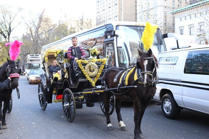 Central Park Private Horse Carriage Tour in NYC - Practical Details and Considerations