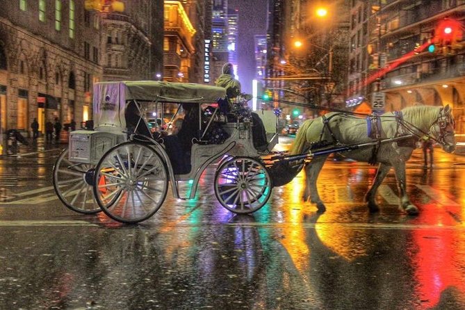 Central Park Private Horse Carriage Tour in NYC - Who Will Enjoy This Tour?