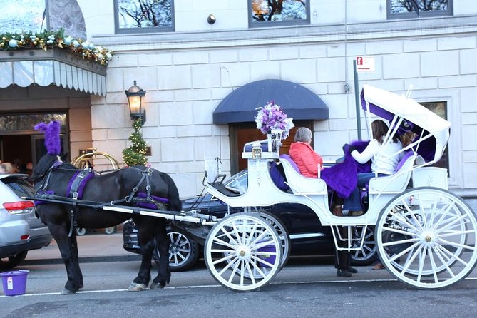 Central Park Private Horse Carriage Tour in NYC - The Sum Up