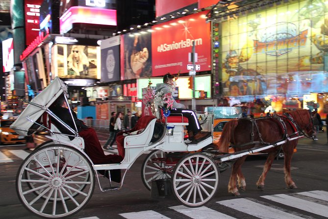 Central Park Private Horse Carriage Tour in NYC - FAQs