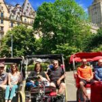 Central Park Private Pedicab Tour for 1 Hour - The Itinerary Breakdown: What to Expect