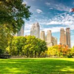Central Park Private Walking Tour with Transfers - How the Tour Feels in Practice