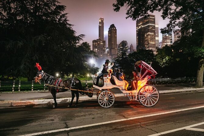 Central Park, Rockefeller & Times Square Carriage Ride (4 Adults) - Who Should Book This Tour?