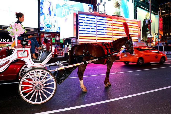 Central Park, Rockefeller & Times Square Carriage Ride (4 Adults) - The Sum Up