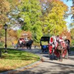 Central Park Scandal and Vice Tour - Authentic Insights from Past Travelers