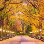 Central Park Scavenger Hunt and Highlights Self-Guided Tour - Exploring Central Park Your Way