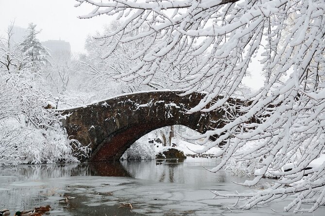 Central Park Scavenger Hunt and Highlights Self-Guided Tour - The Sum Up: The Ideal Choice for Casual Explorers