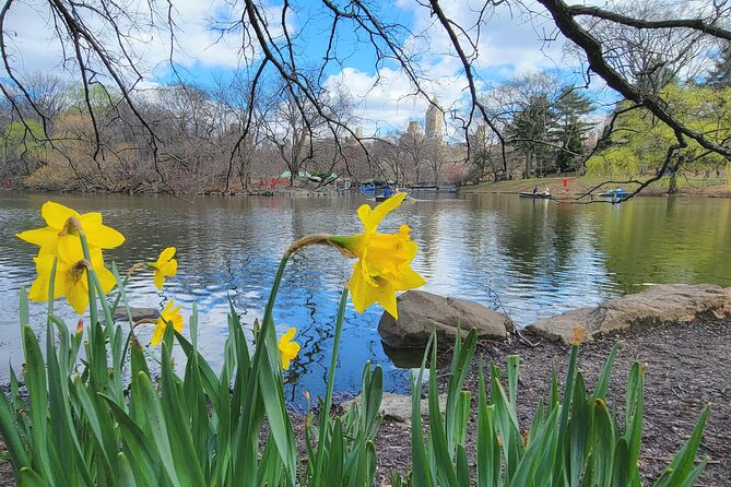 Central Park Secrets And Highlights - Practical Details & Tips