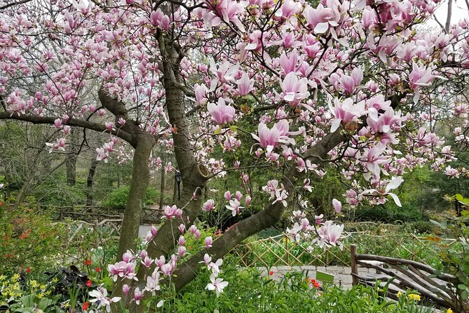 Central Park Secrets And Highlights - Final Thoughts
