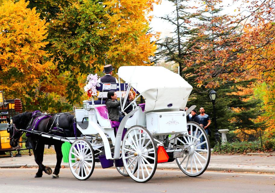 Central Park: Short Horse Carriage Ride (Up to 4 Adults) - What to Expect from the Central Park Horse Carriage Ride