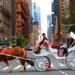 Central Park: Short Horse Carriage Ride (Up to 4 Adults) - The Highlights that Make a Difference