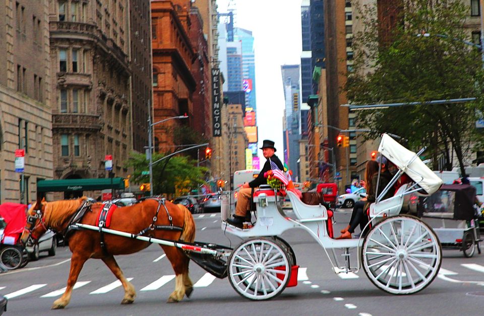 Central Park: Short Horse Carriage Ride (Up to 4 Adults) - The Highlights that Make a Difference
