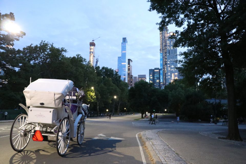 Central Park: Short Horse Carriage Ride (Up to 4 Adults) - Who Should Consider This Tour?