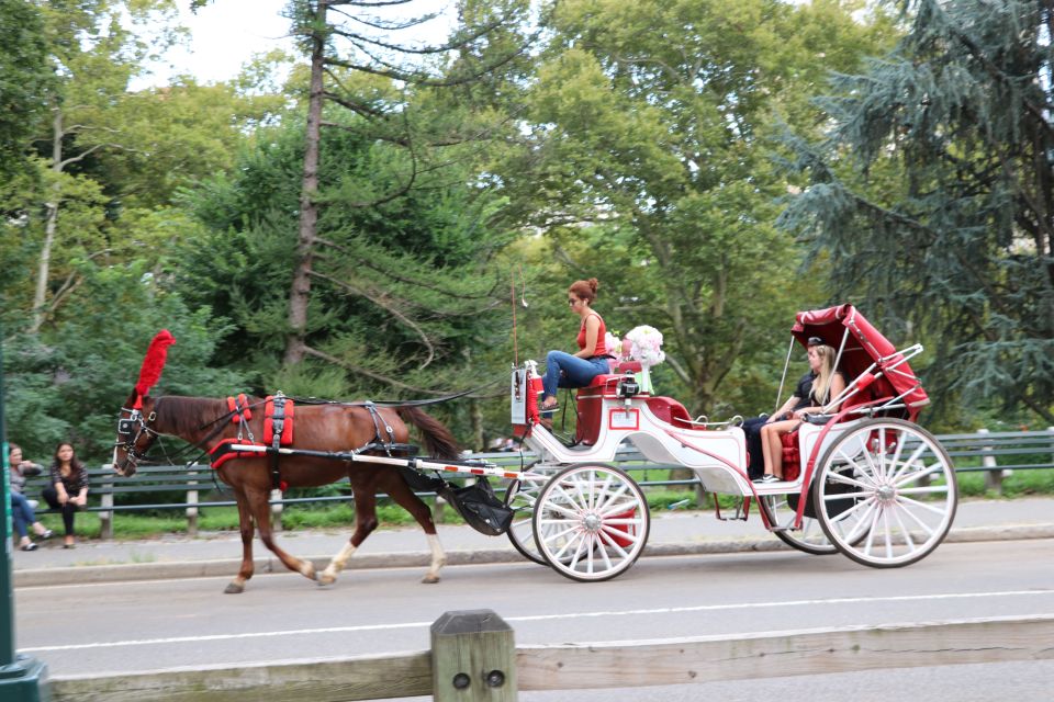 Central Park: Short Horse Carriage Ride (Up to 4 Adults) - Summary