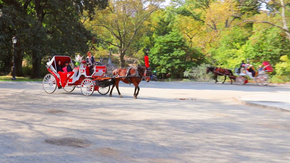 Central Park: Short Horse Carriage Ride (Up to 4 Adults) - Frequently Asked Questions