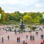 CENTRAL PARK TOUR,Central park sightseeing tours.Flexible Tours - What Makes This Tour Stand Out?