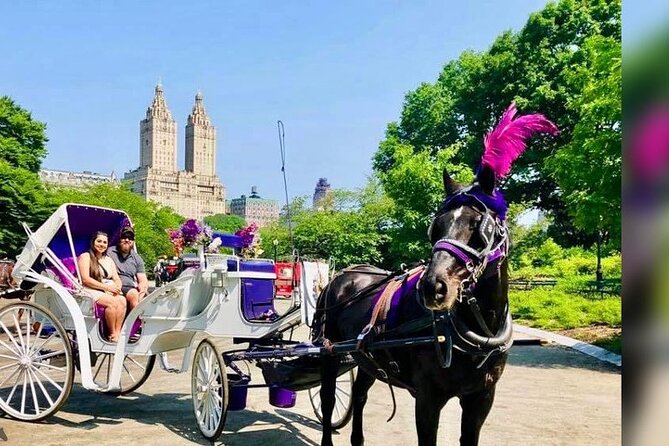 CENTRAL PARK TOUR,Central park sightseeing tours.Flexible Tours - Authentic Insights from Reviews