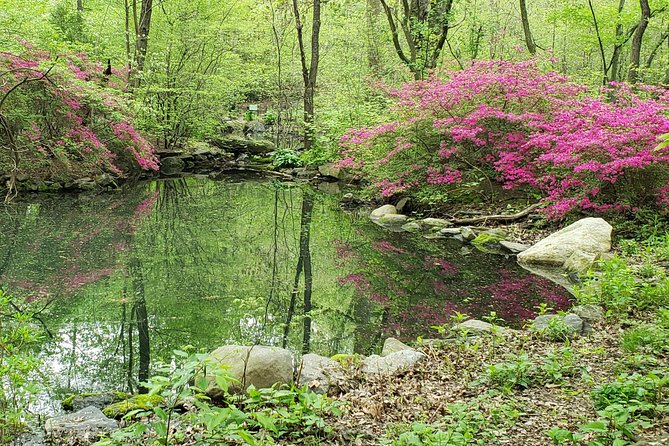 Central Park Walking Tour - The Sum Up: Who Is This Tour Perfect For?