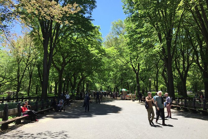 Central Park Walking Tour - Authentic Traveler Experiences & Tips