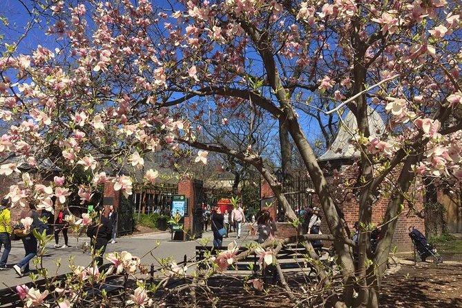 Central Park Walking Tour - Who Should Book This Tour?