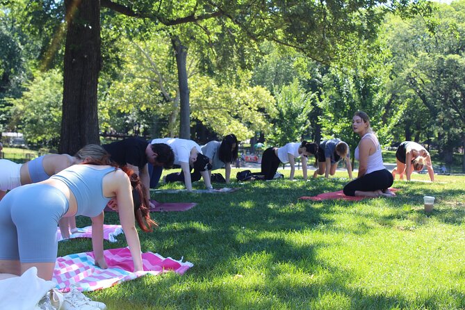Central Park Yoga Class with a View in the Heart of New York City - The Value of This Experience