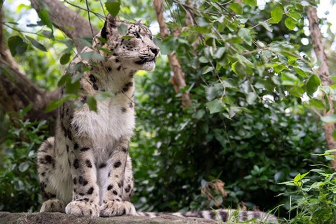 Central Park Zoo Admission Ticket with 4D Theater Access - Exploring the Itinerary in Detail