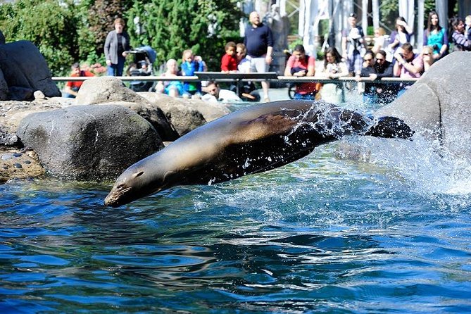 Central Park Zoo Admission Ticket with 4D Theater Access - FAQ