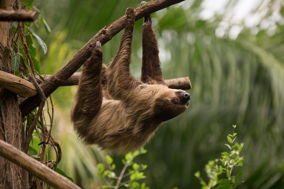 Central Park Zoo Skip-the-line Tickets & Private Transfers - Practical Details and Logistics